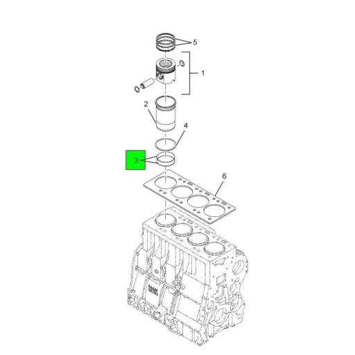 2591144C1 Navistar International | Liner to Block O-Ring - 12 Pack ...