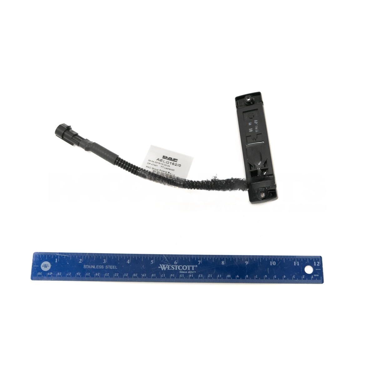 1702044PAC Kenworth | Step Lamp | Source One Parts Center