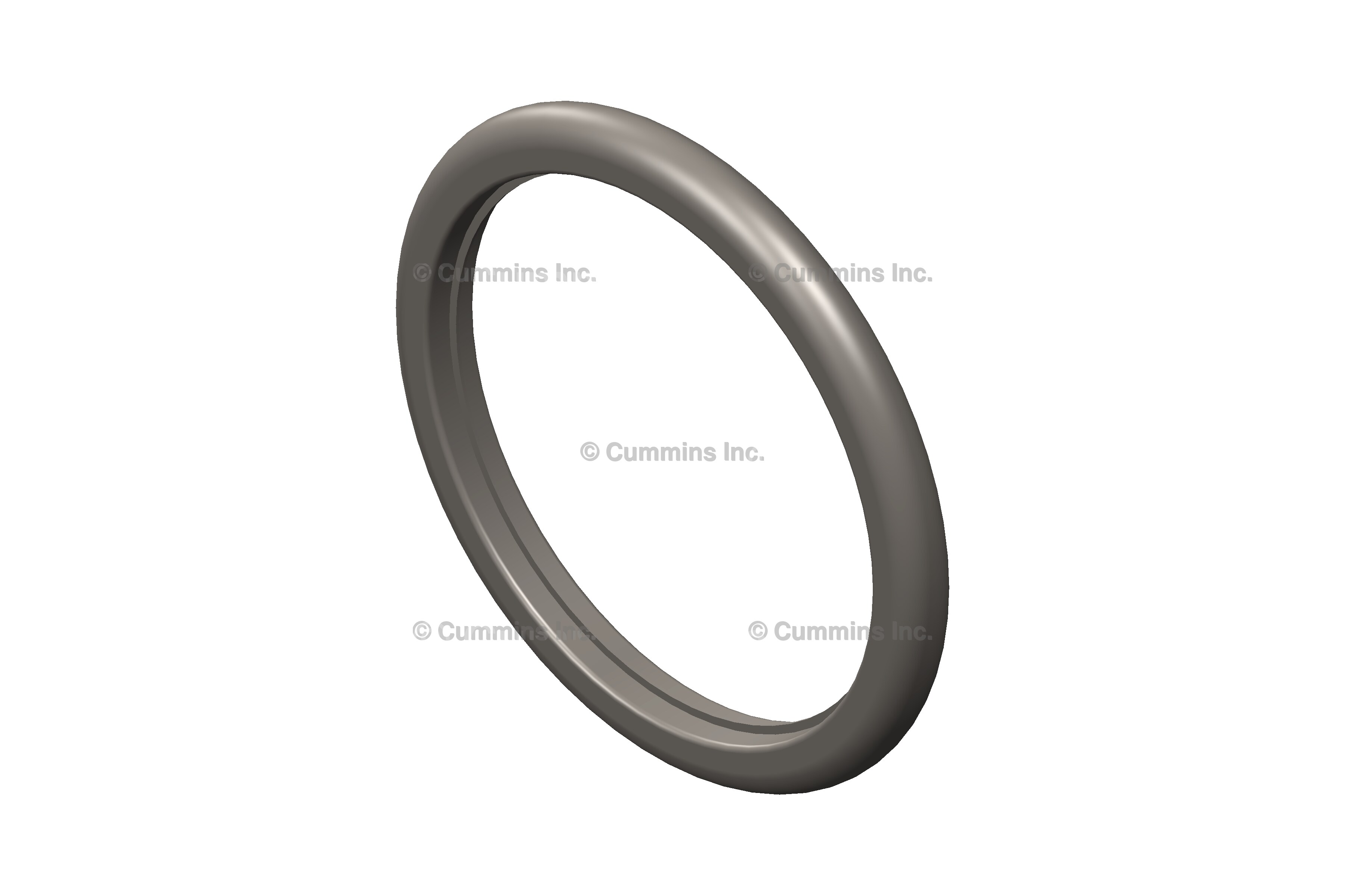 4995185 | Cummins® | D Ring Seal | Source One Parts Center