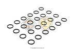 1830941C1 | Navistar International® | O-RING - 24 Pack | Source One ...